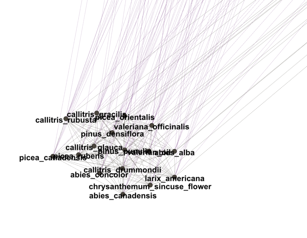 Visualizing Ingredient Networks | Student Work
