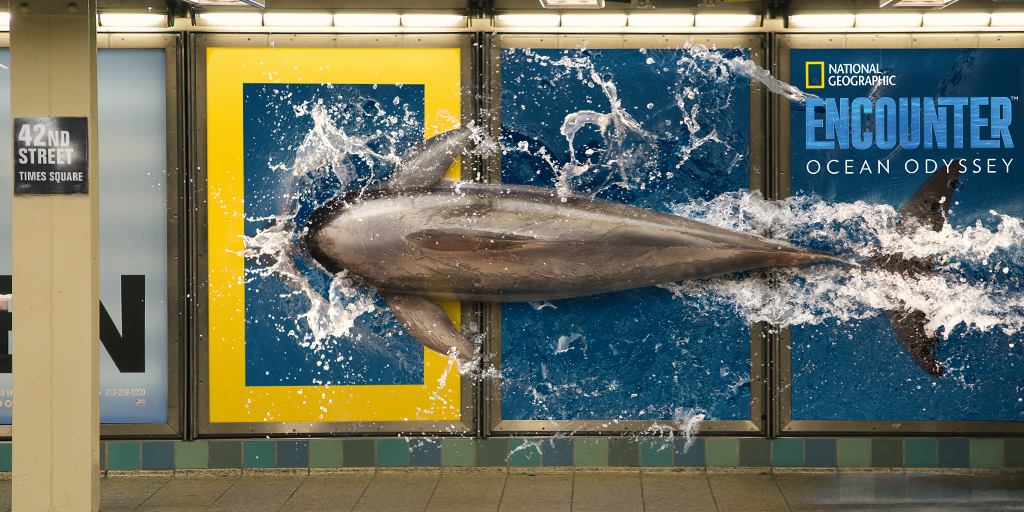 Observation of National Geographic Encounter – Ocean Odyssey ...