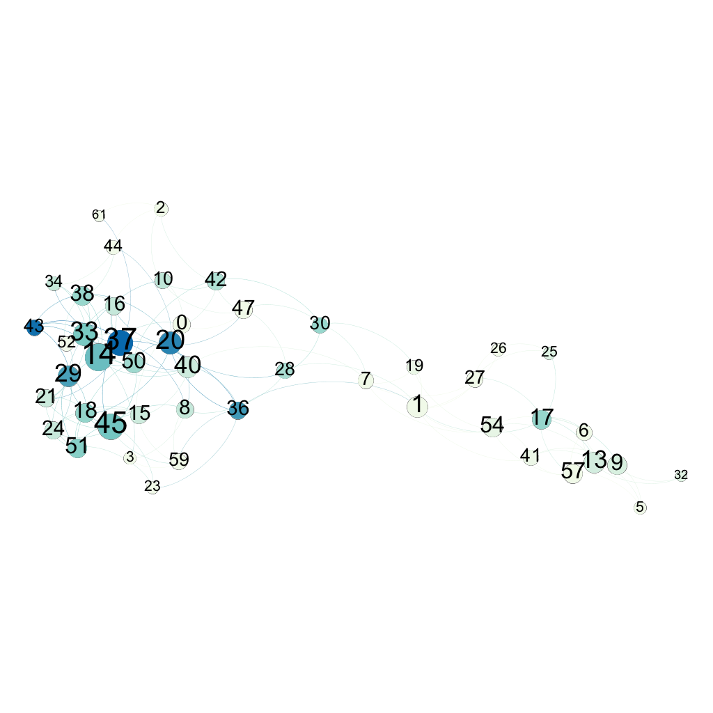 Dolphin Network – Information Visualization