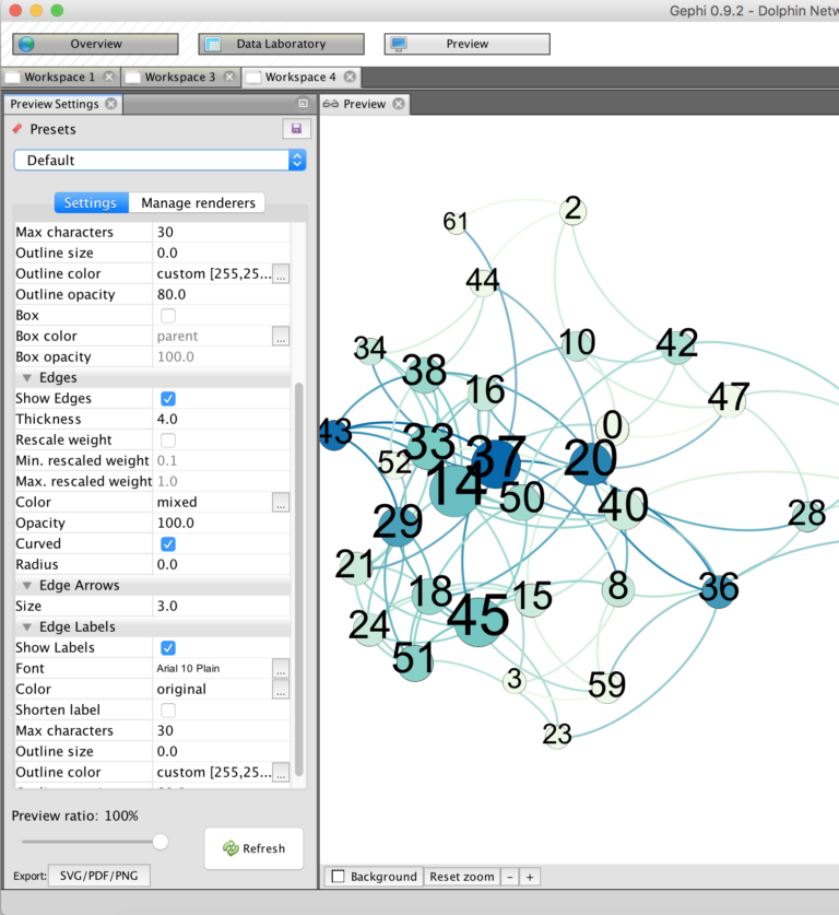 The 62 Dolphin’s Network Visualization | Student Work