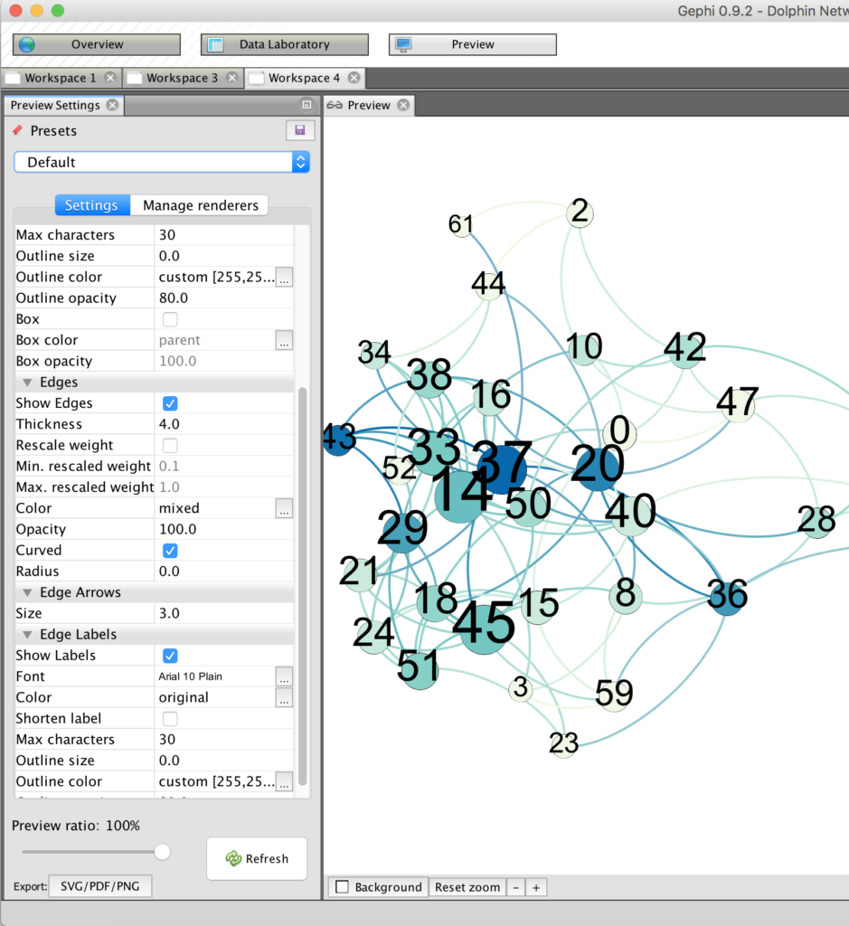 The 62 Dolphin’s Network Visualization | Student Work