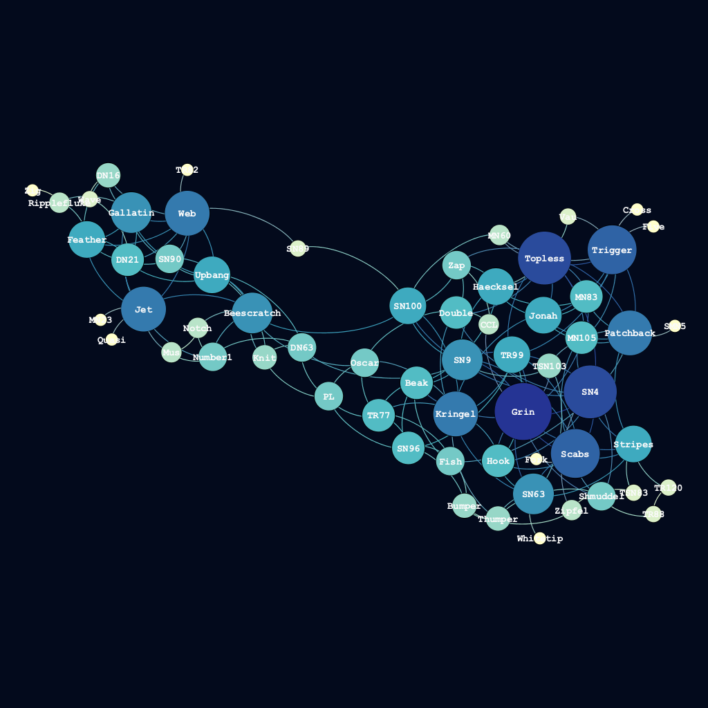 dolphins3graph_ – Information Visualization